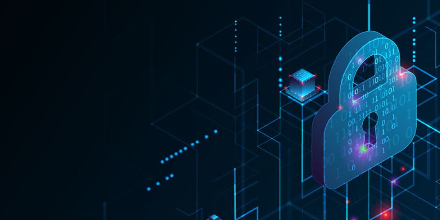 Adva Network Security