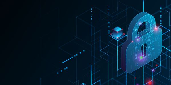 Adva Network Security